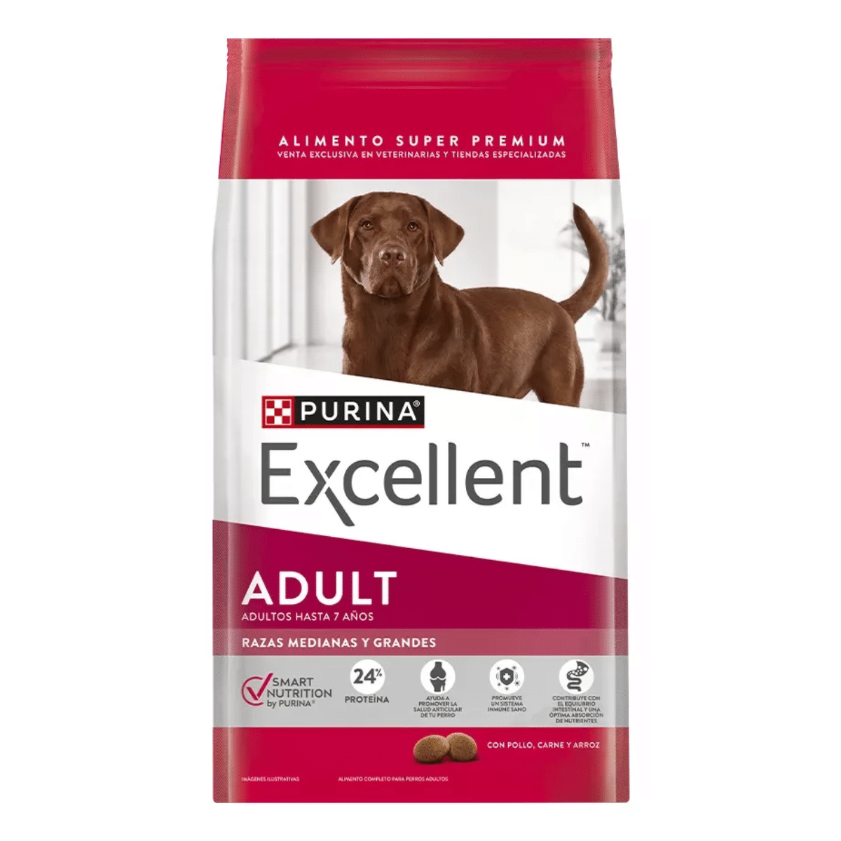 Purina Excellent Perro Adulto Raza Mediana Y Grande 12 Kg | DIPET.CL